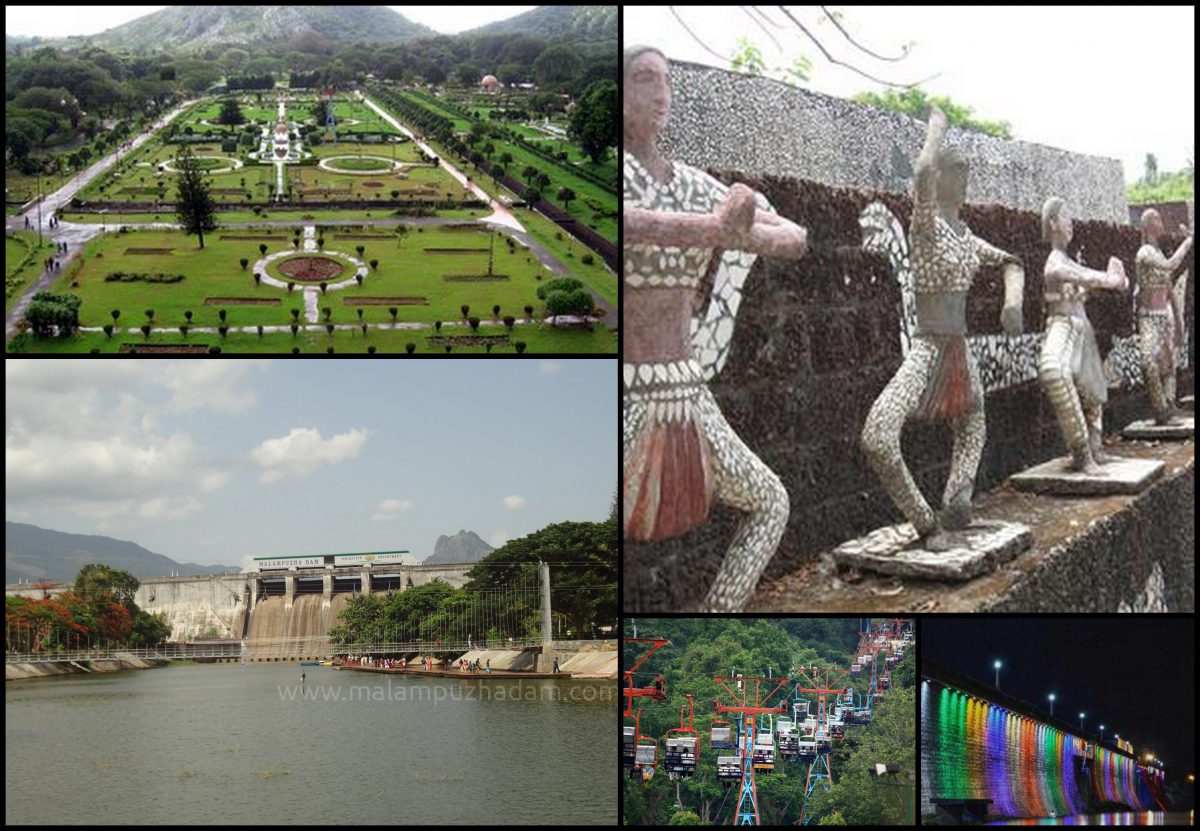 If You Are in Kerala, You Have to Visit a Dam! - SpiceTree Munnar